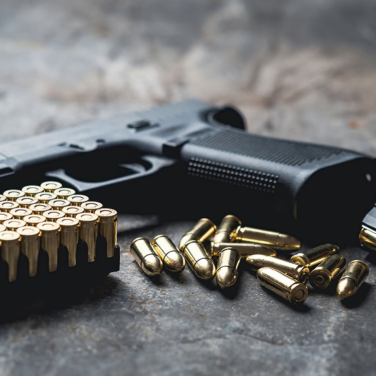 Trezory na zbraně | METALSAFE